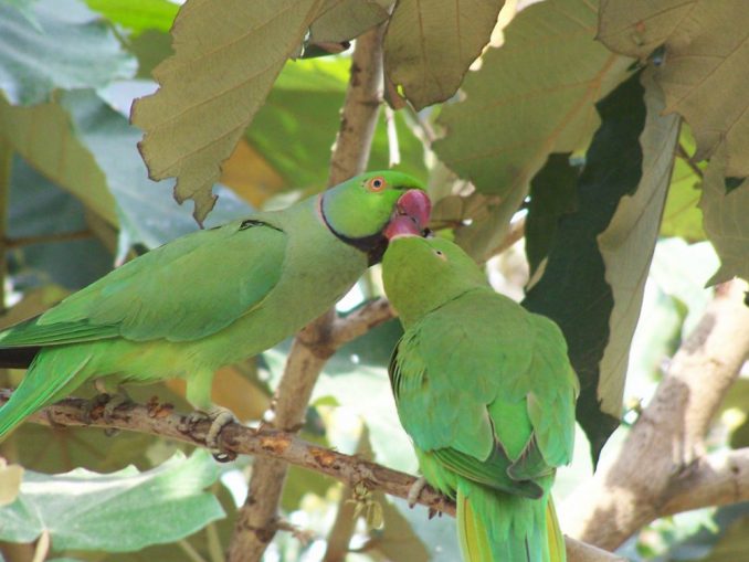 Northernmost Point in the Continental U.S. (Angle Inlet, Minnesota ...