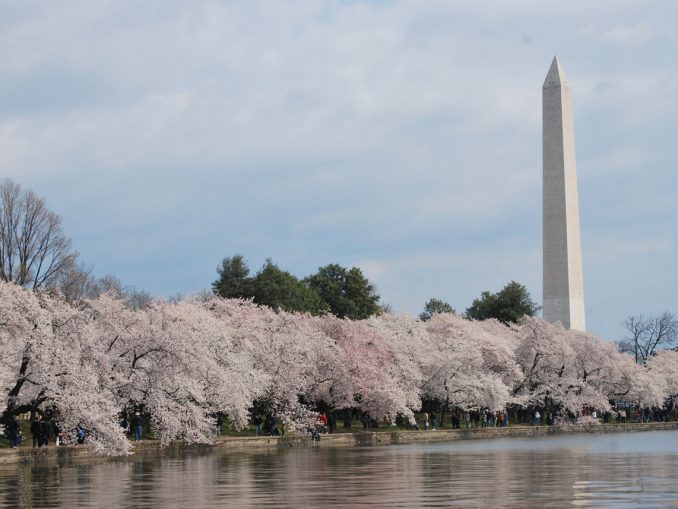 Northernmost Point in the Continental U.S. (Angle Inlet, Minnesota ...